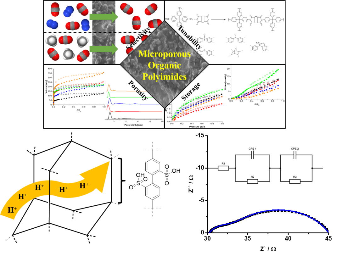 Porous Organic Polymers